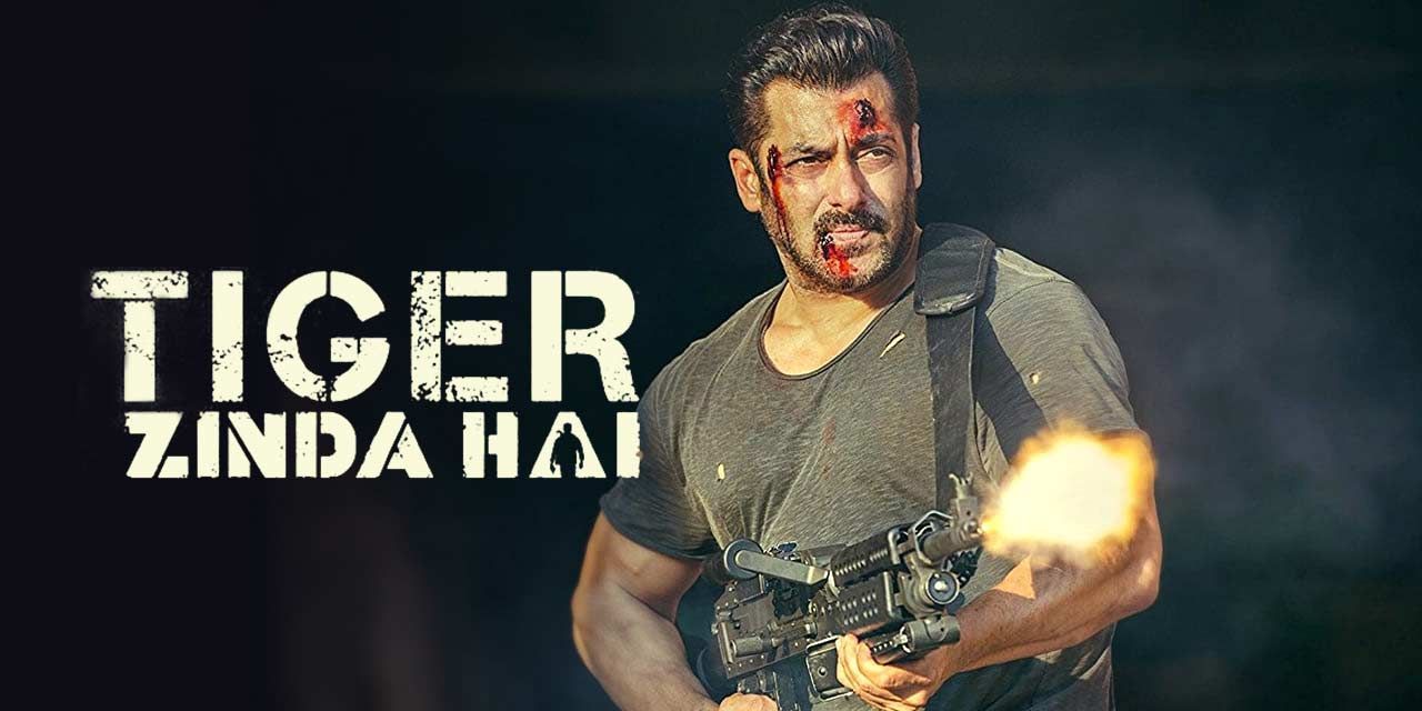 Tiger Zinda Hai (2017) - Movie | Reviews, Cast & Release Date in ...