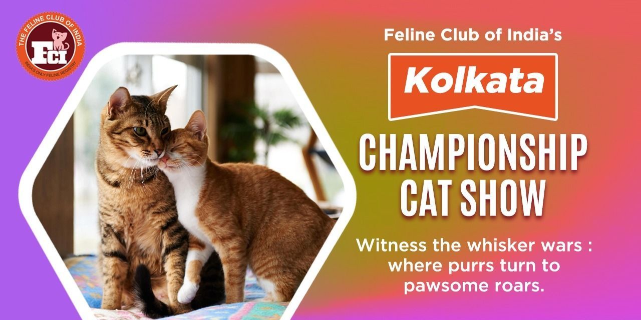FCI Cat Show Kolkata exhibitions Event Tickets Kolkata - BookMyShow