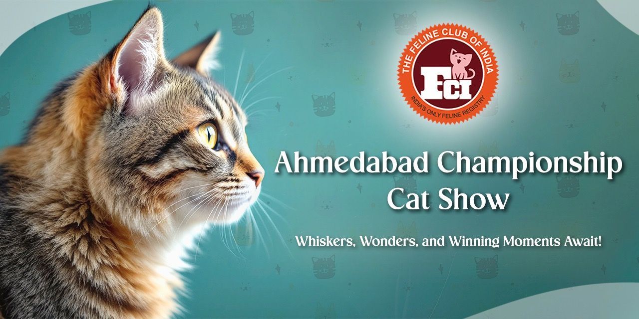 Championship Cat Show Ahmedabad exhibitions Event Tickets Ahmedabad ...