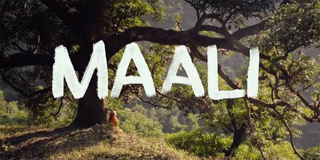 Maali (2024) - Movie | Reviews, Cast & Release Date - BookMyShow