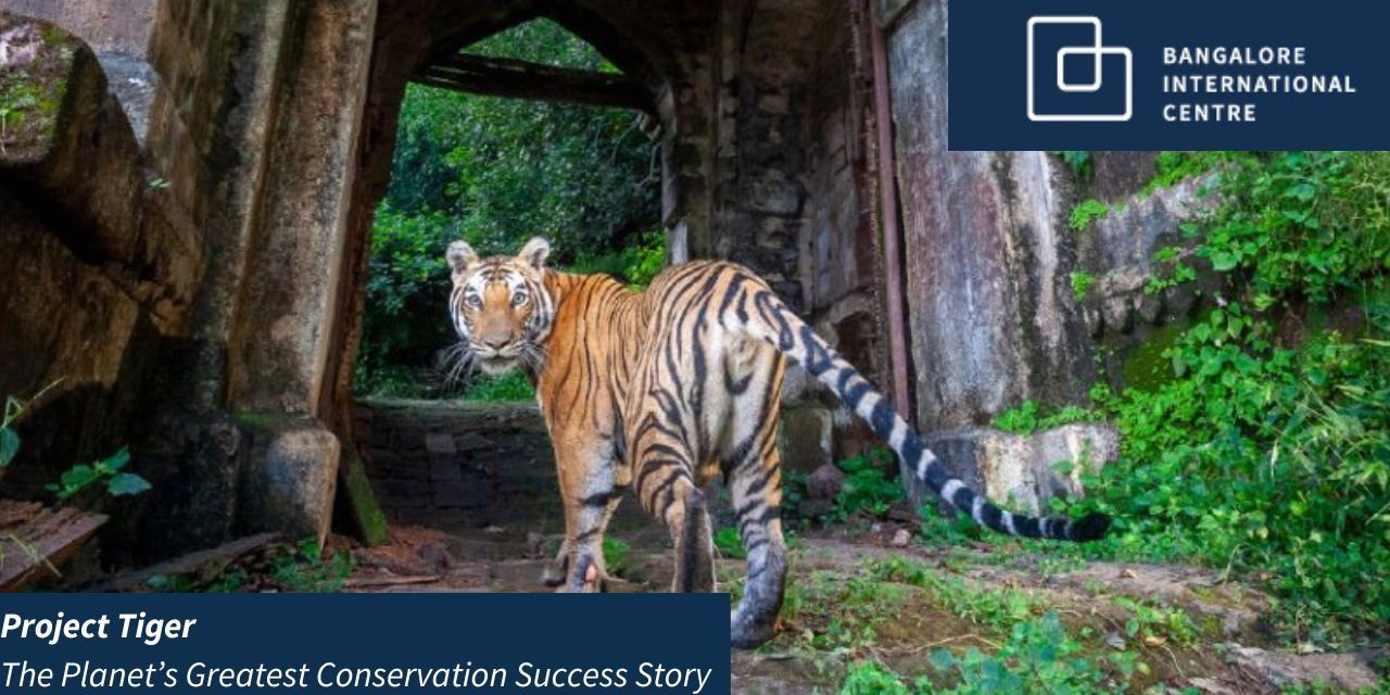 Project Tiger screening Event Tickets Bengaluru - BookMyShow