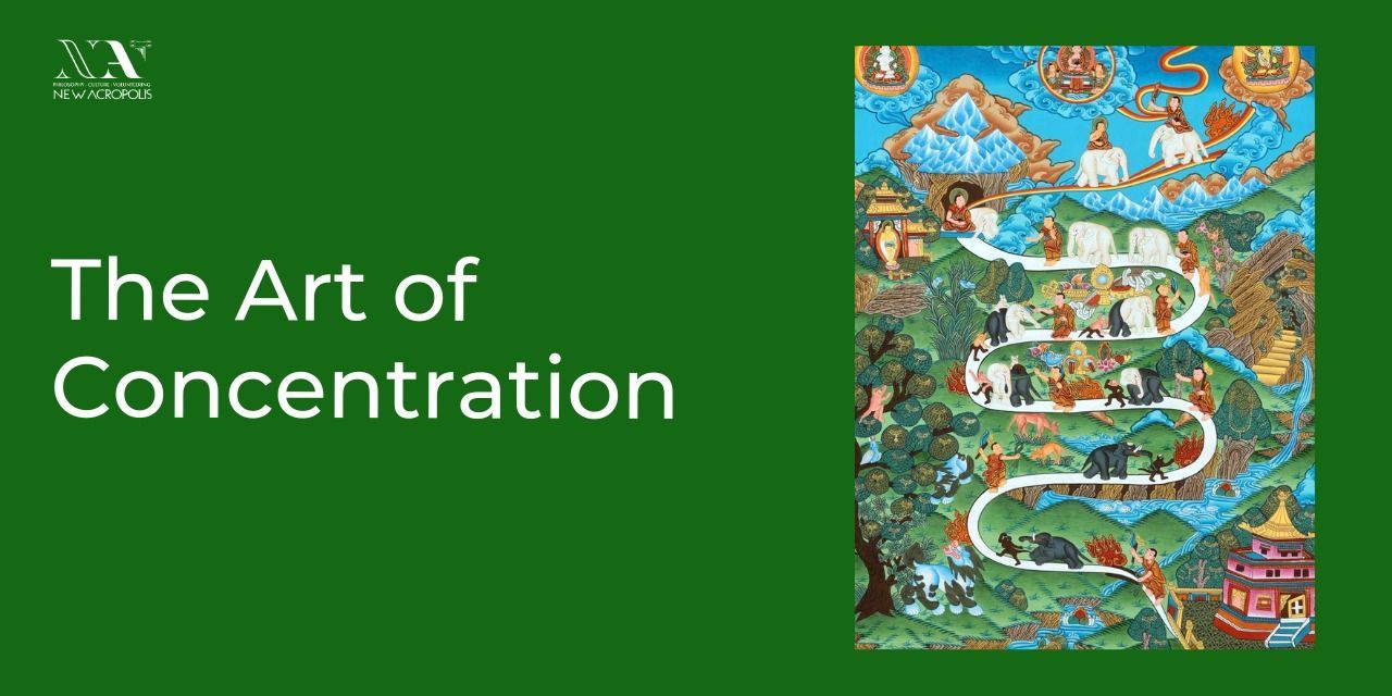 The Art of Concentration talks Event Tickets Bengaluru - BookMyShow