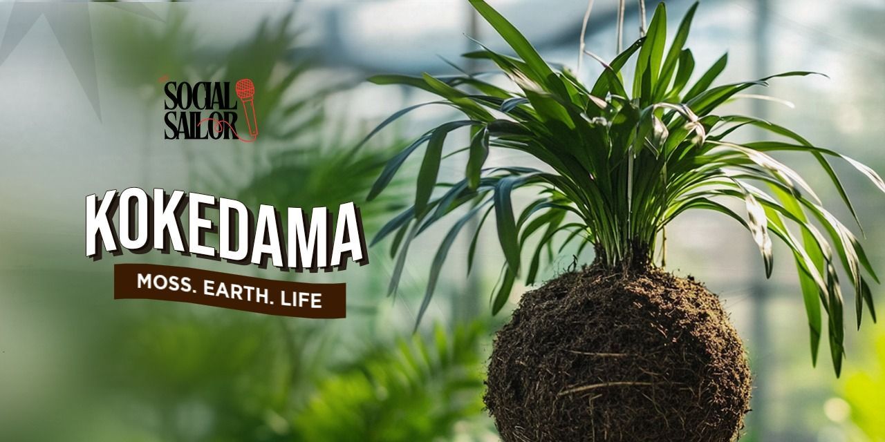Kokedama Making Workshop Workshops Event Tickets - BookMyShow