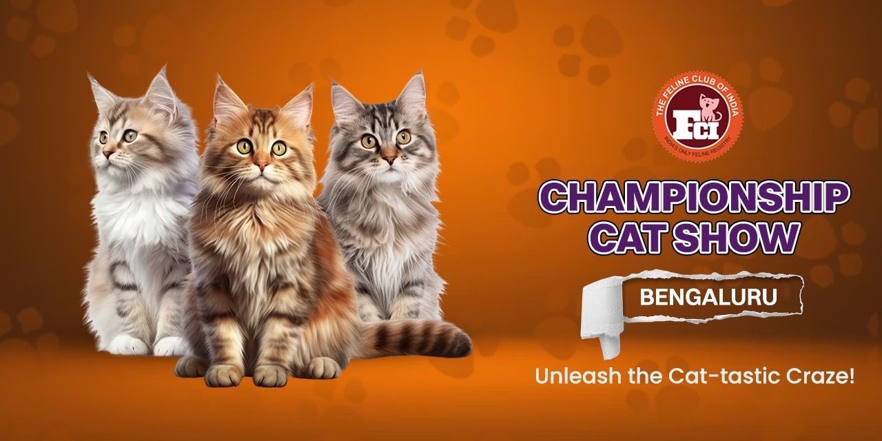 Championship Cat Show Bengaluru exhibitions Event Tickets Bengaluru ...