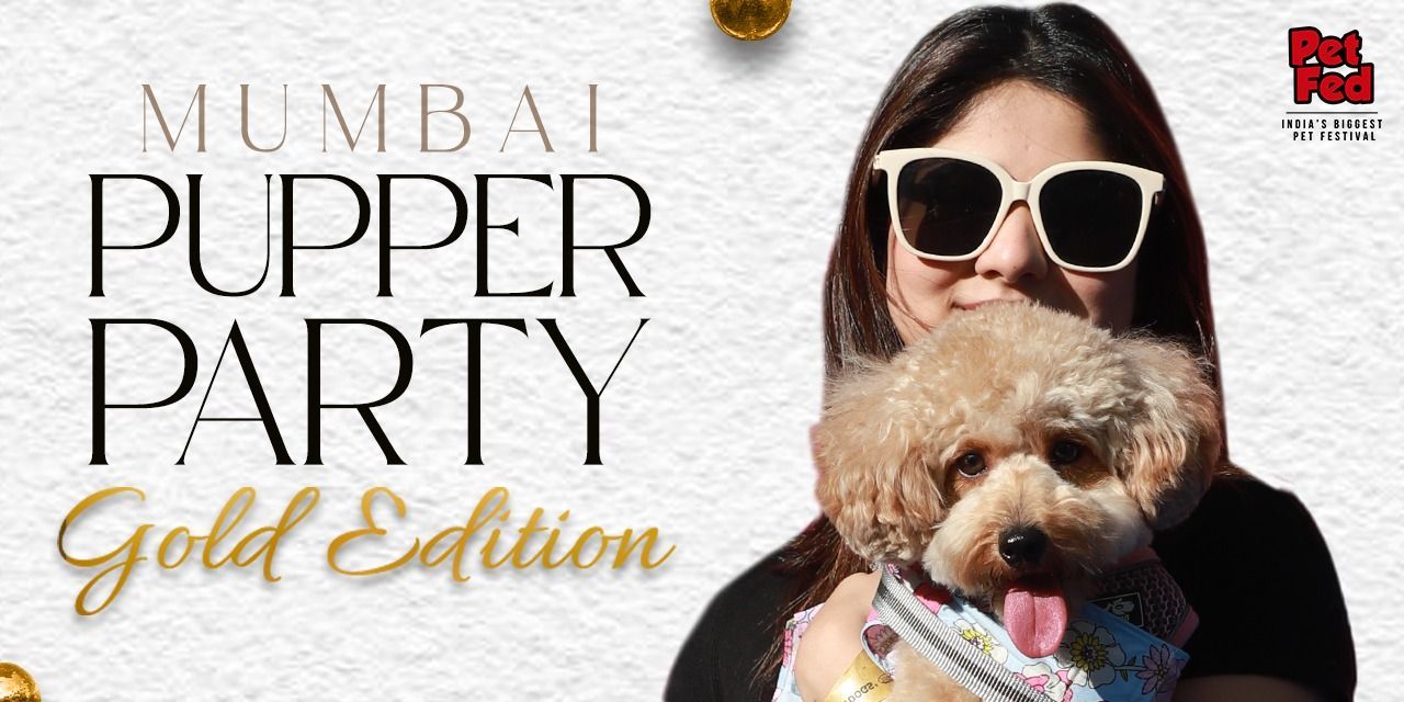 Mumbai Pupper Party - Gold Edition exhibitions Event Tickets Mumbai ...