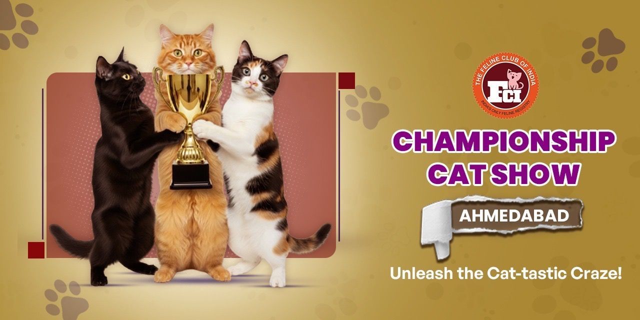 Championship Cat Show Ahmedabad exhibitions Event Tickets Ahmedabad ...