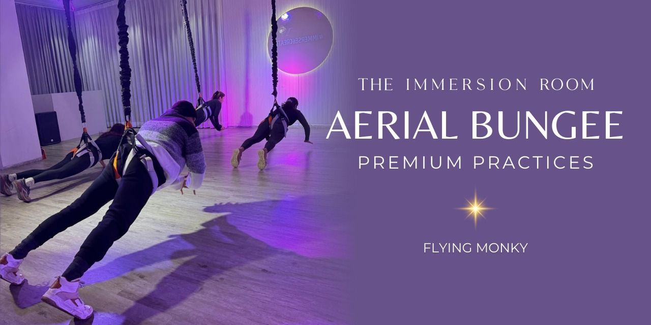 Aerial Bungee workshops Event Tickets Delhi-NCR - BookMyShow