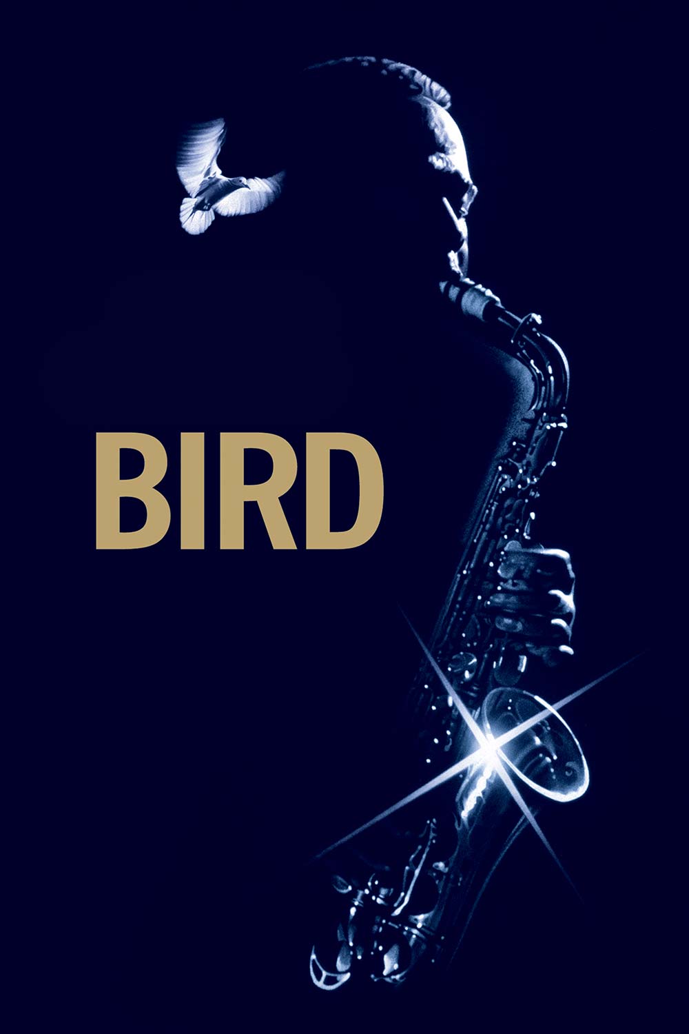 Watch Bird Movie Online | Buy Or Rent Bird On BMS Stream