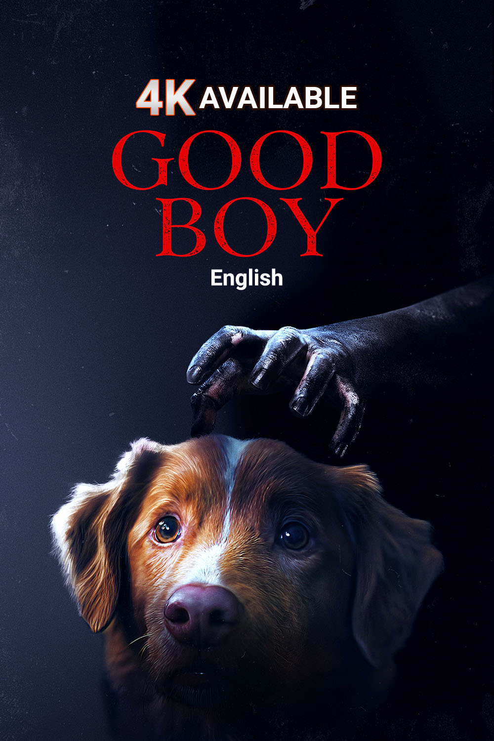 Watch Good Boy Online