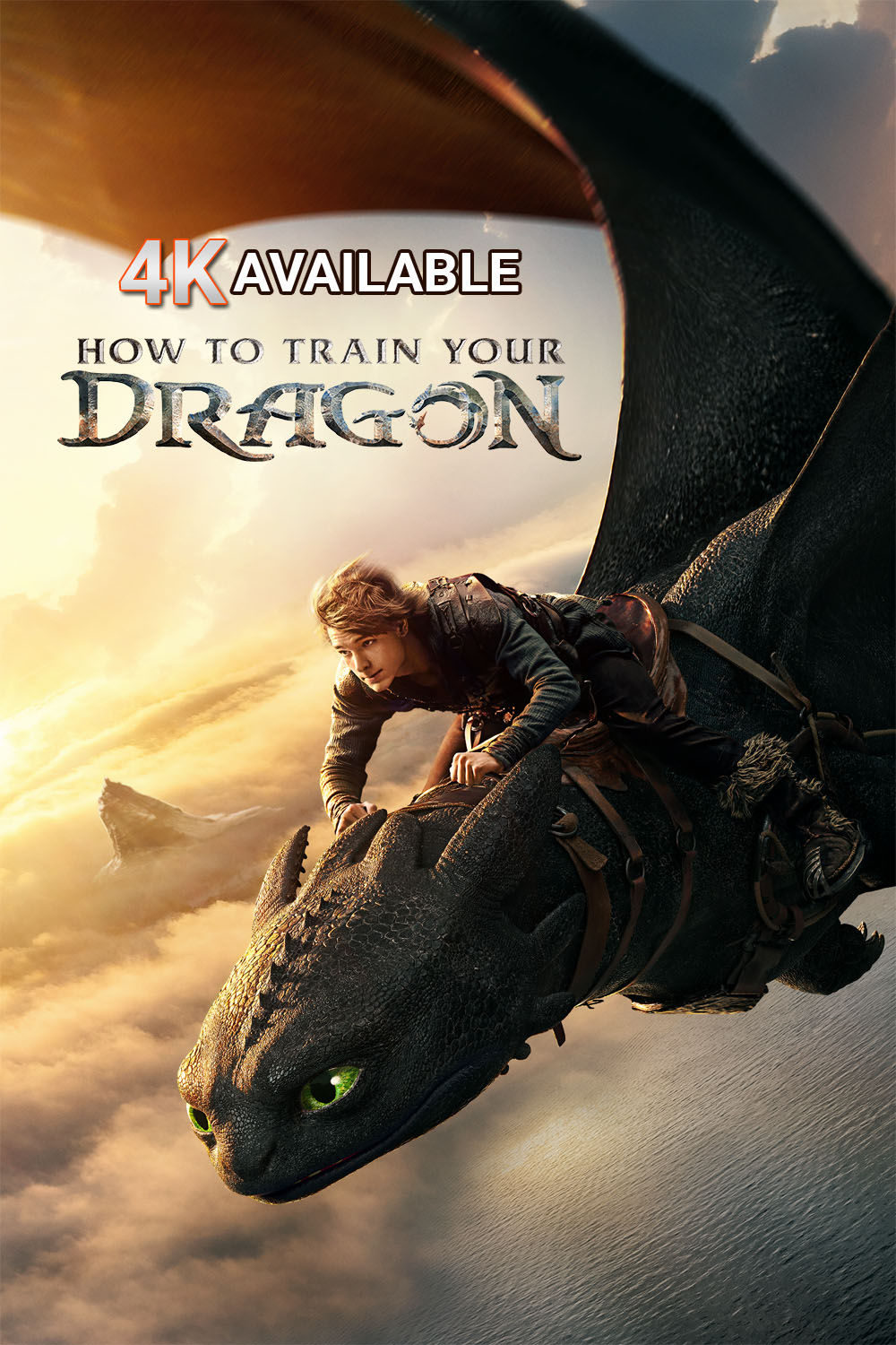Watch How to Train Your Dragon Online