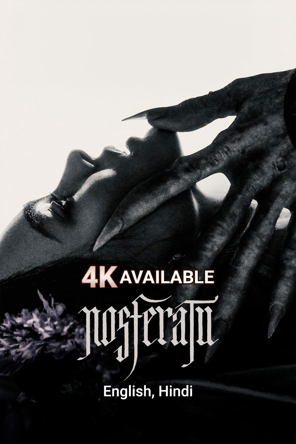 Watch Nosferatu Online