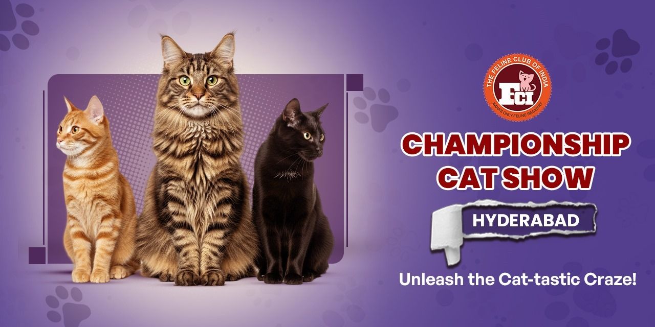 Championship Cat Show Hyderabad exhibitions Event Tickets Hyderabad ...