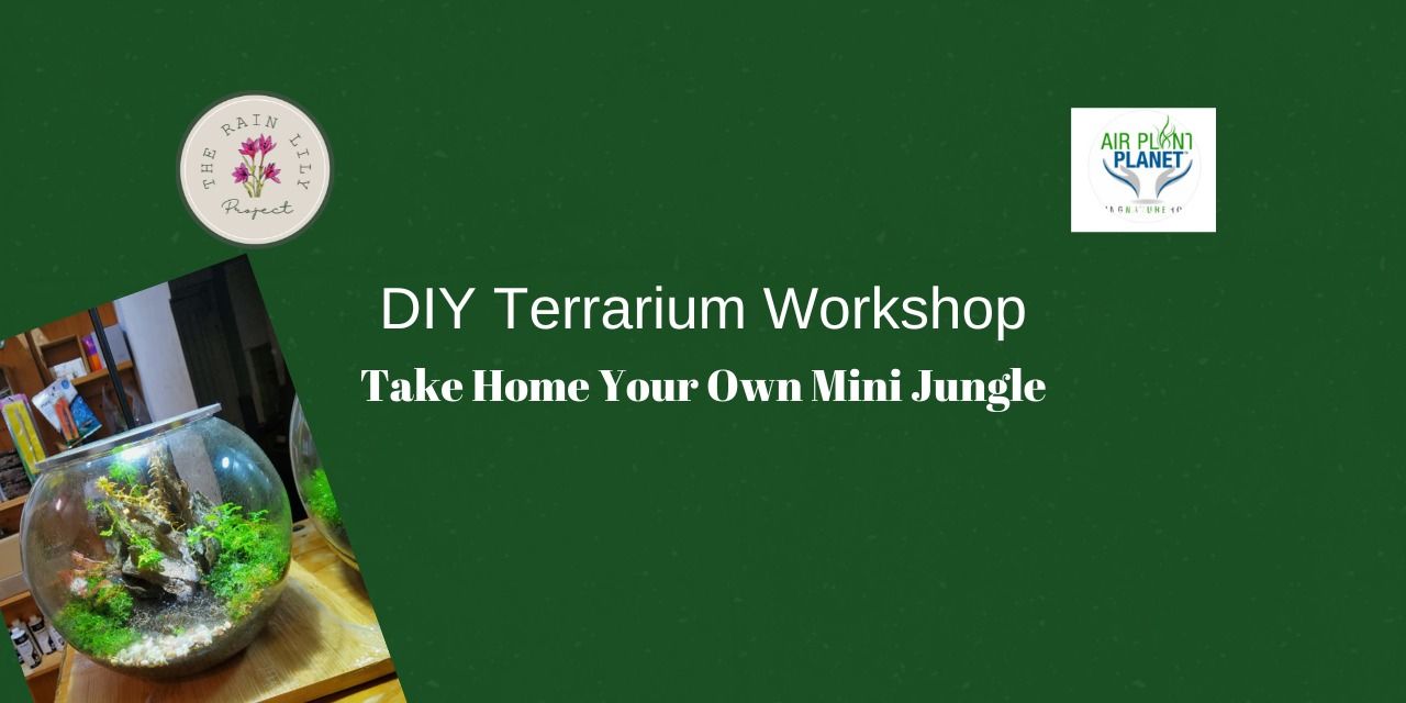 DIY Terrarium Workshop workshops Event Tickets Bengaluru - BookMyShow