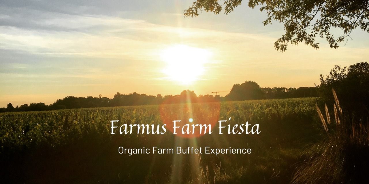media-desktop-farmus-farm-fiesta-0-2025-1-17-t-4-26-58.jpg