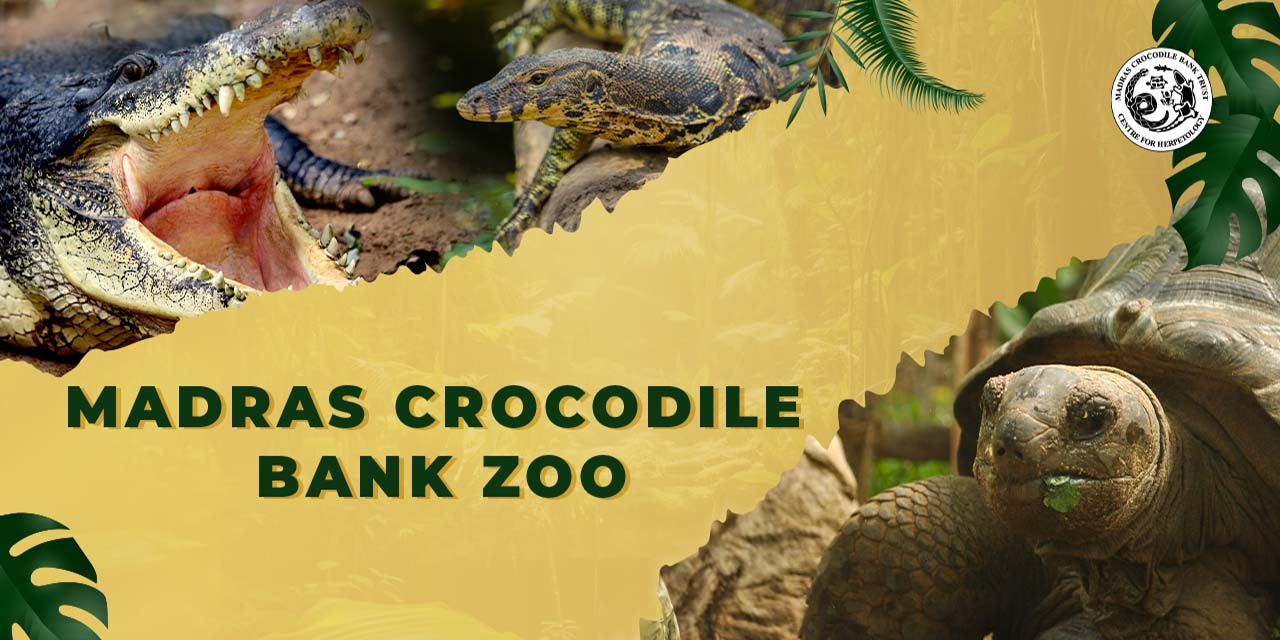 Madras Crocodile Bank Zoo Entry | tourist-attractions,unique-tours ...