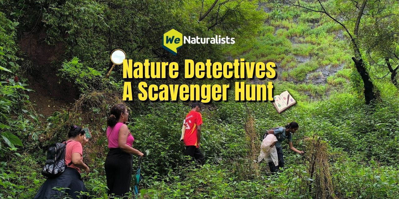 Nature Detectives: A Scavenger Hunt | adventure Tickets Mumbai - BookMyShow