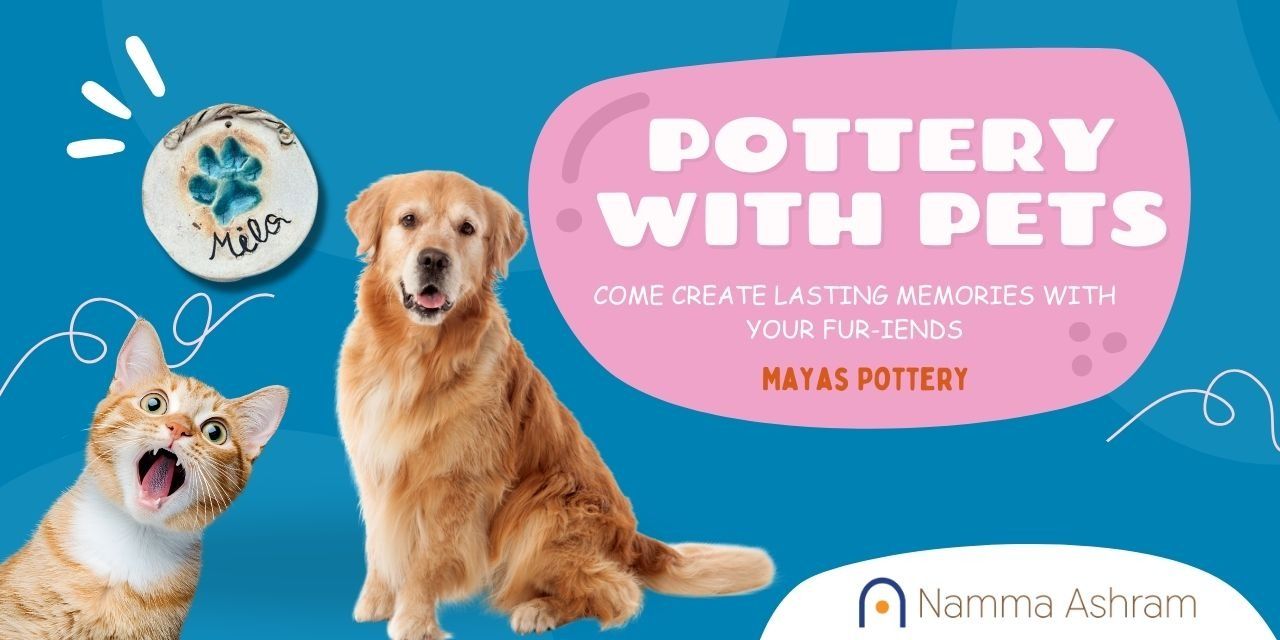 media-desktop-pottery-with-pets-0-2025-9-3-t-4-8-53.jpg