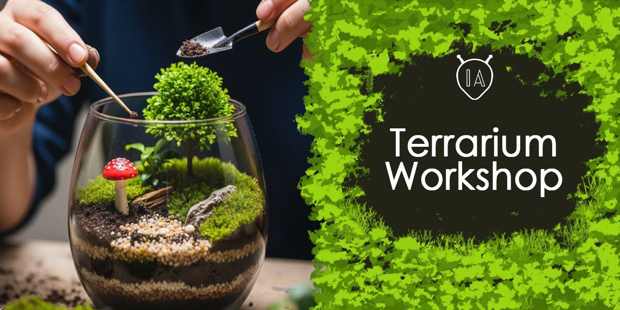 terrarium workshop workshops Event Tickets Kolkata - BookMyShow