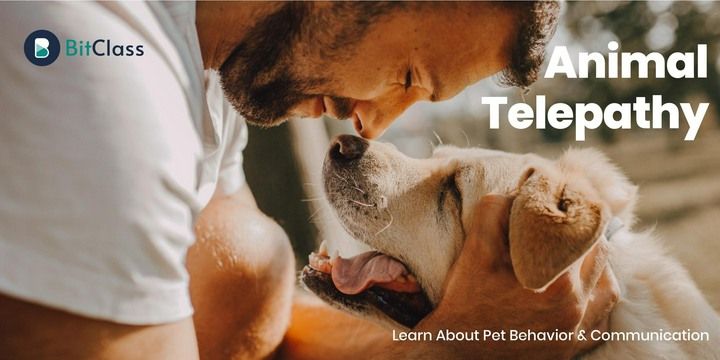 Animal Telepathy, Learn About Pet Behavior workshops,online-streaming ...