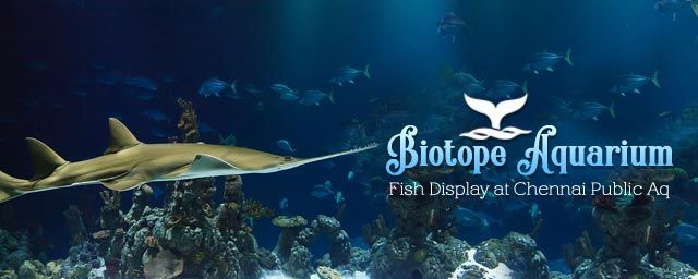 Biotope Aquarium Fish Display at Chennai | tourist-attractions Tickets ...