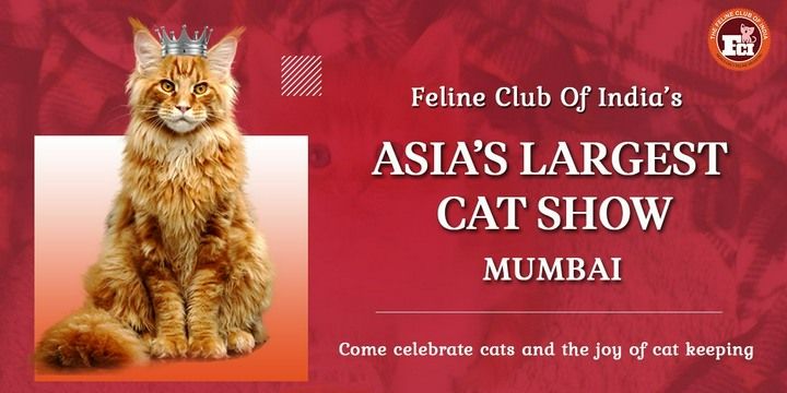 FCI's Grand Cat Show award-shows,exhibitions,performances Mumbai ...