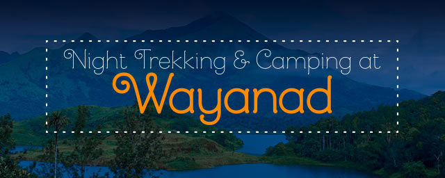 Night Trekking and Camping at Wayanad | adventure Tickets Bengaluru ...